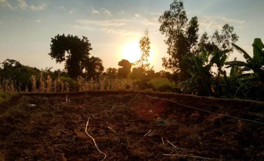 5 CHEAP AND EFFECTIVE WAYS TO SAVE WATER ON YOUR FARM